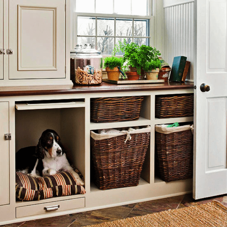 Top 4 Tips for Building Pet Friendly Houses - Norton Homes