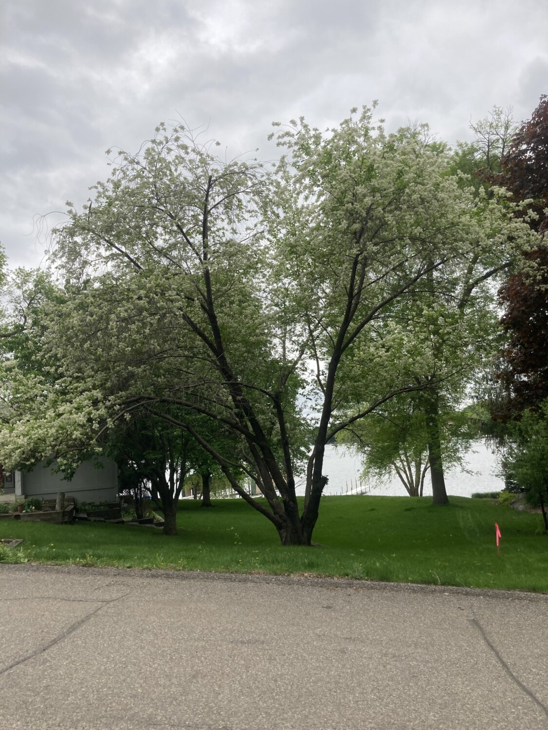 Orono - Forest Lake Lot - Norton Homes