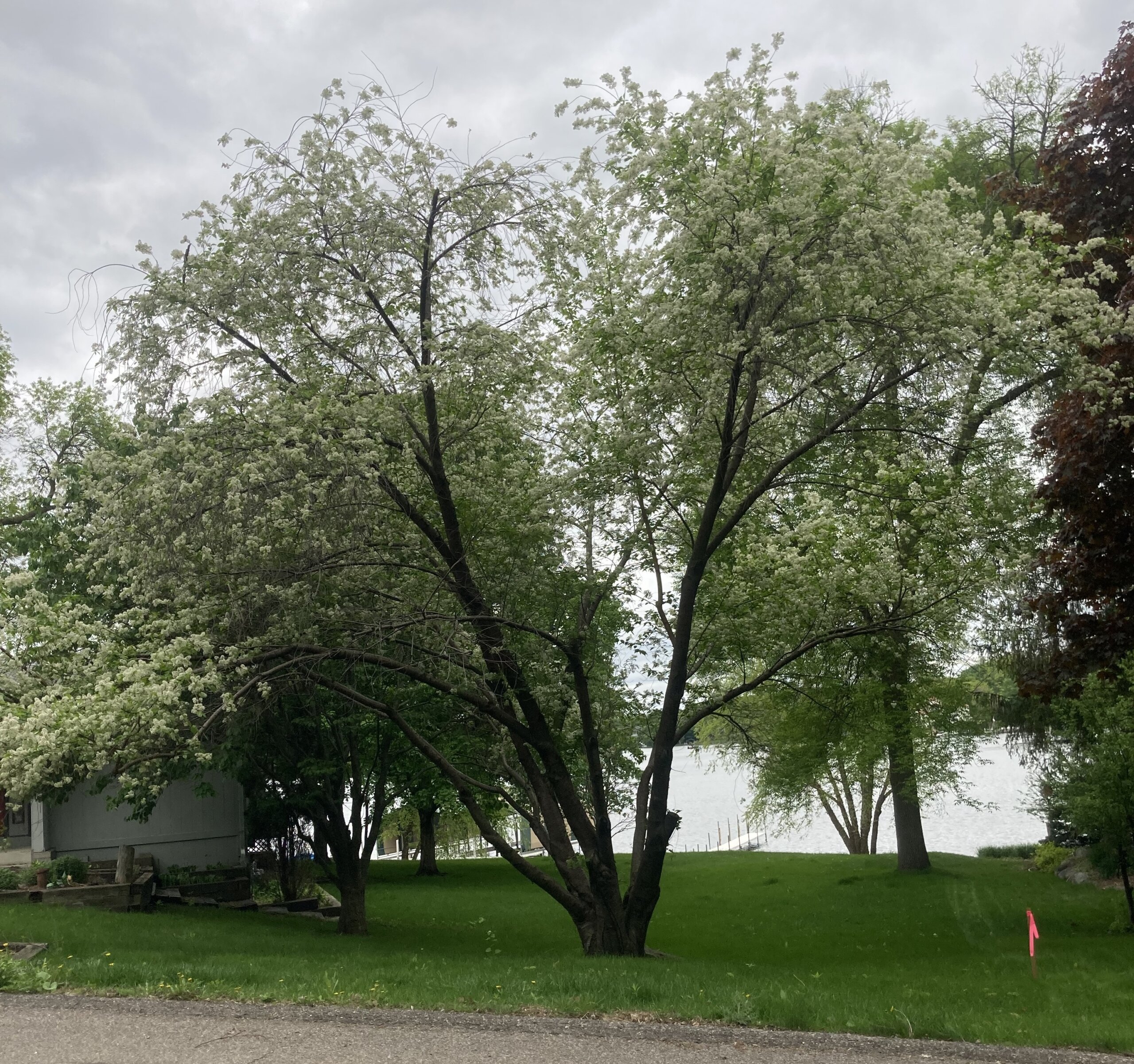 Forest Lake Bay Lakeshore Home Lots for Sale in Minnetonka, MN